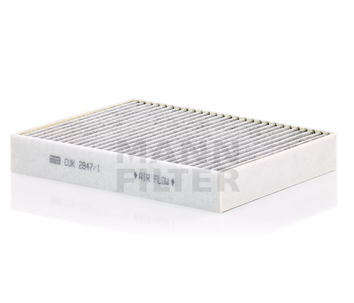 958 572 21 900 MANN-FILTER, ALCO FILTER Pollen filter cheap AUTODOC ...
