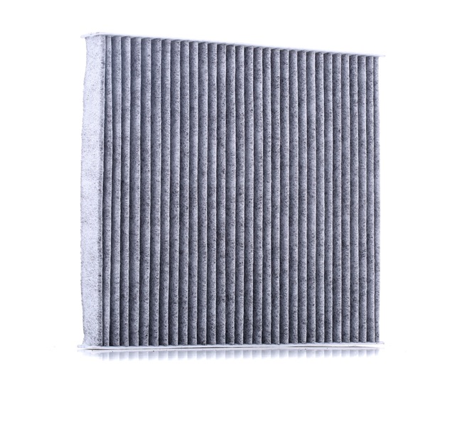 1 987 432 543 BOSCH R 2543 Pollen filter Activated Carbon Filter, 254 ...