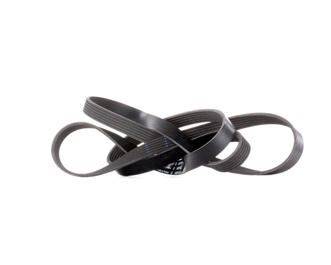 4593 684AA AE, ASHIKA V-Ribbed belt cheap AUTODOC online shop