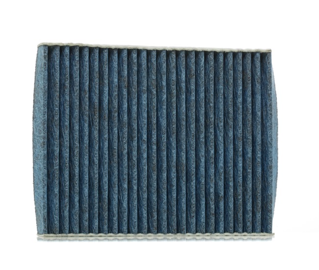 Filtro antipolline per Ford Fiesta Mk7 1.5 TDCi 2017 - 85CV / 63kW Diesel