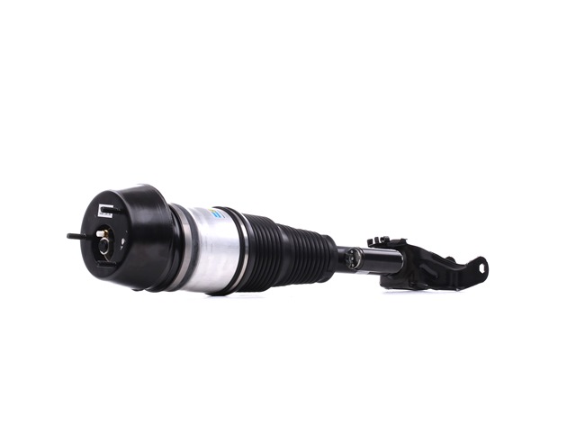 166 320 55 66 ARNOTT, Arnott Shock absorber, Air suspension strut, Air ...