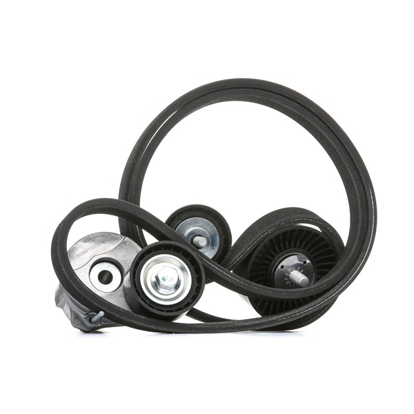 K036DPK1698 GATES Micro-V Kit 6DPK1698 V-Ribbed Belt Set Micro-V ...