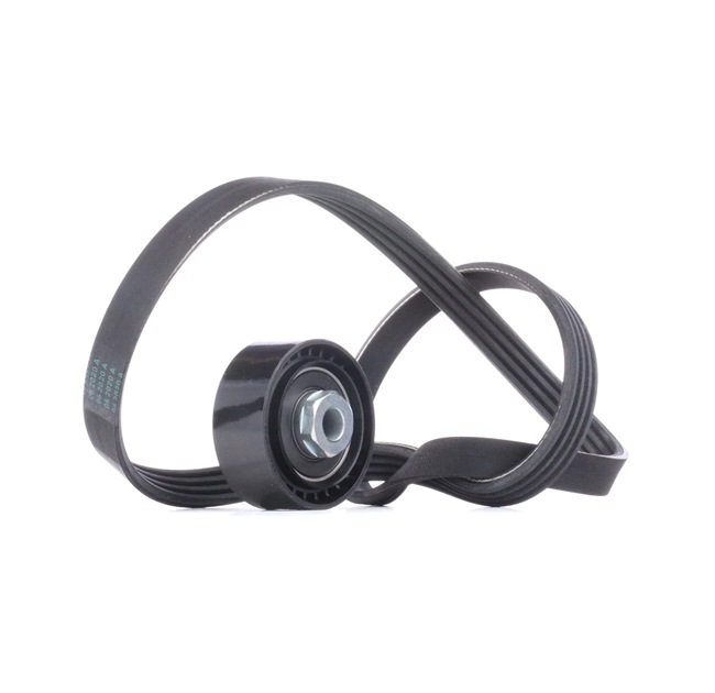 Kit de courroie d'accessoire RENAULT Twingo I 3 portes 1.2 1996 - 2007 ...