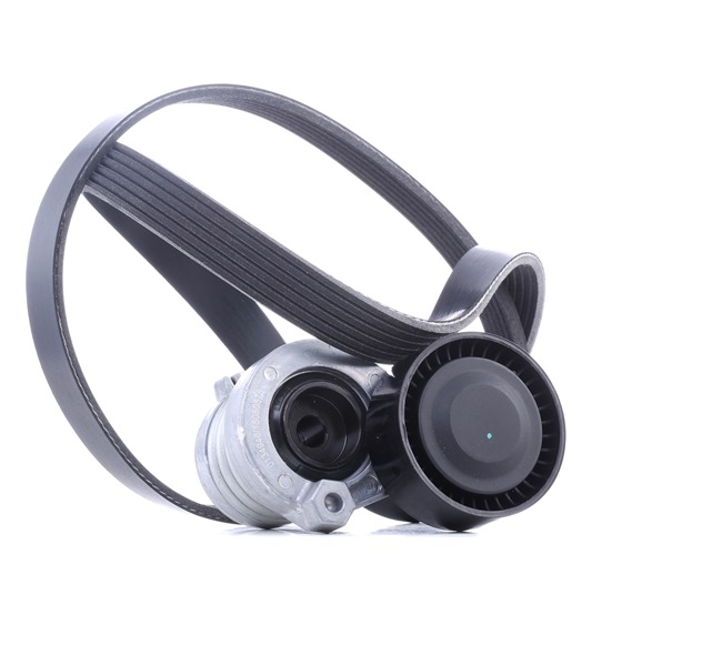 Poly v-belt kit for Renault Megane 3 Coupe 1.5 dCi 2009 - 2022 110hp ...