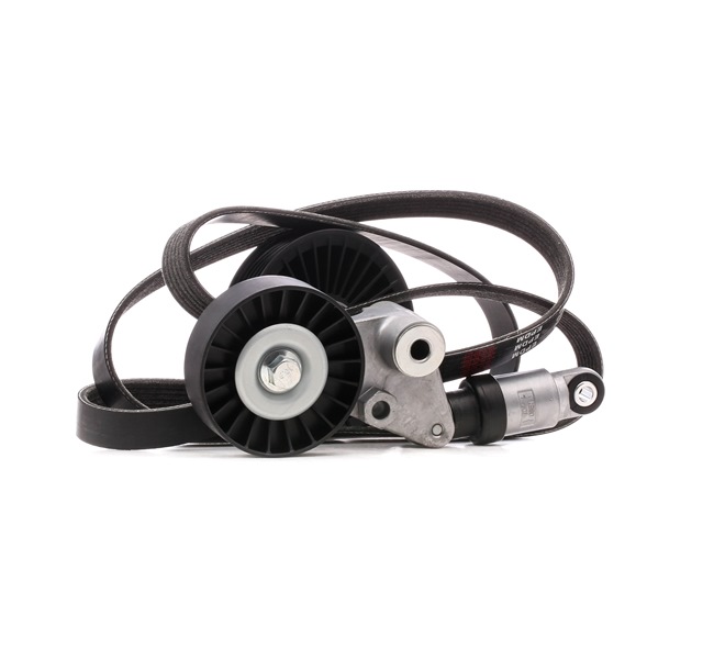 90916 02547 AE, ASHIKA V-Ribbed belt, Tensioner lever, V-Ribbed belt ...