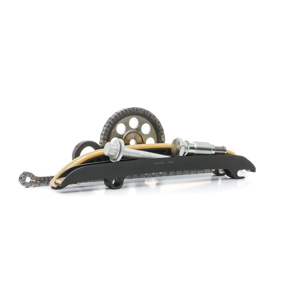 03F 109 507 B AIC, ASHIKA Timing chain tensioner, Timing chain, Timing ...