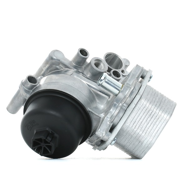 98 088 666 80 AKS DASIS, BSG Radiador de aceite, Aceite motor, Caja ...