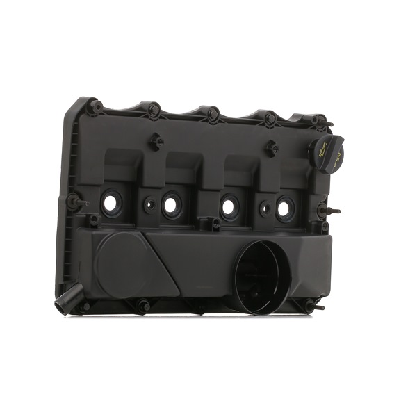 0248 P9 AIC, BSG Rocker cover cheap AUTODOC online shop