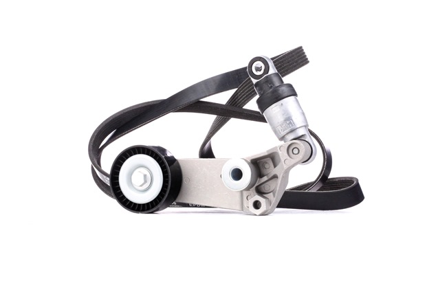 16620 22010 Tensioner pulley, Deflection / guide pulley, V-Ribbed belt ...
