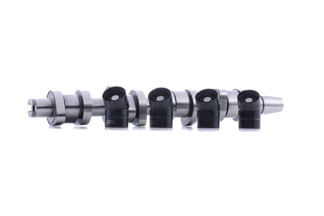 038 109 309 C INA, FEBI BILSTEIN Set ax cu came, Culbutor supapa ...