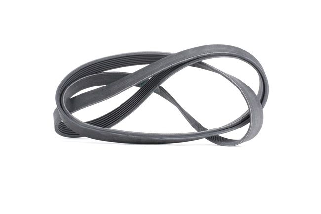 25212-4A600 CONTITECH, GATES Correa trapecial poli v baratos AUTODOC ...