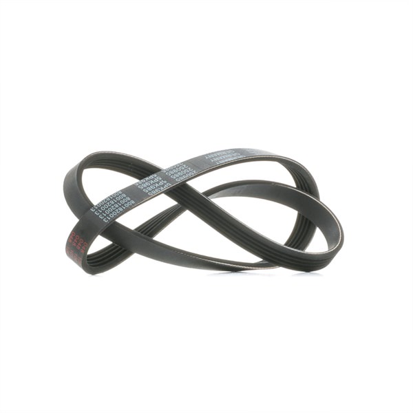 Пистов ремък за BMW E39 M5 1998 - 2003 400K.C. / 294KW бензин S62 B50 (508S1)