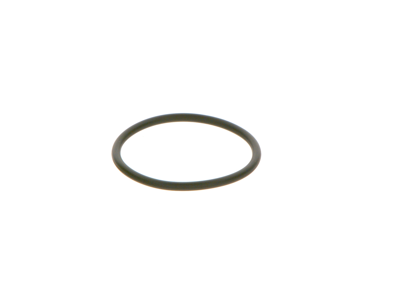 F 00R 0P0 166 BOSCH Rubber Ring | AUTODOC price and review