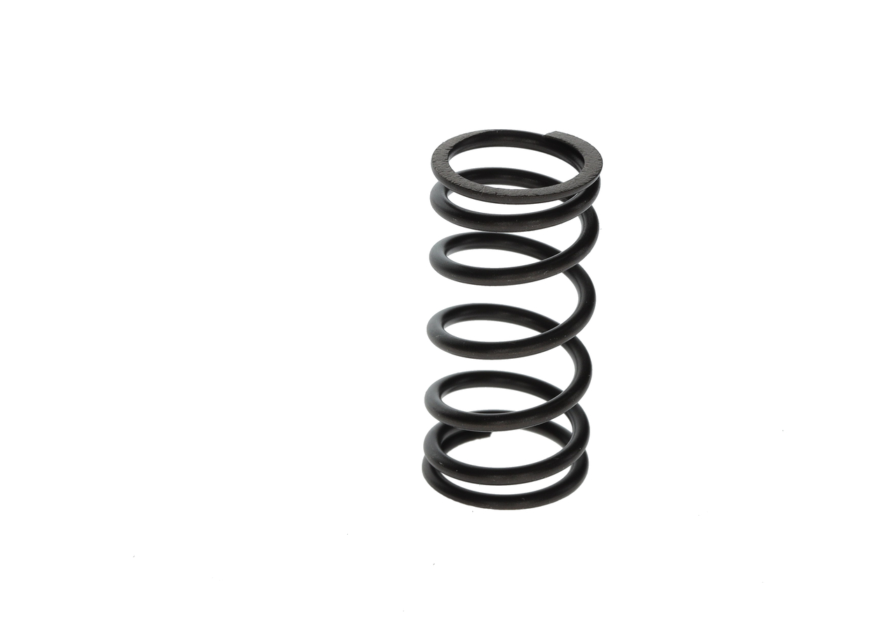 F 00N 200 047 BOSCH Spring AUTODOC price and review