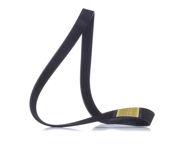 Cinghia poly-v per Fiat Ducato 3 serie 2.3 D 120 Multijet 2006 - 120CV ...