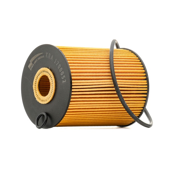 955 107 561 00 ASHIKA, AUTOMEGA Oil filter, Filter kit cheap AUTODOC ...